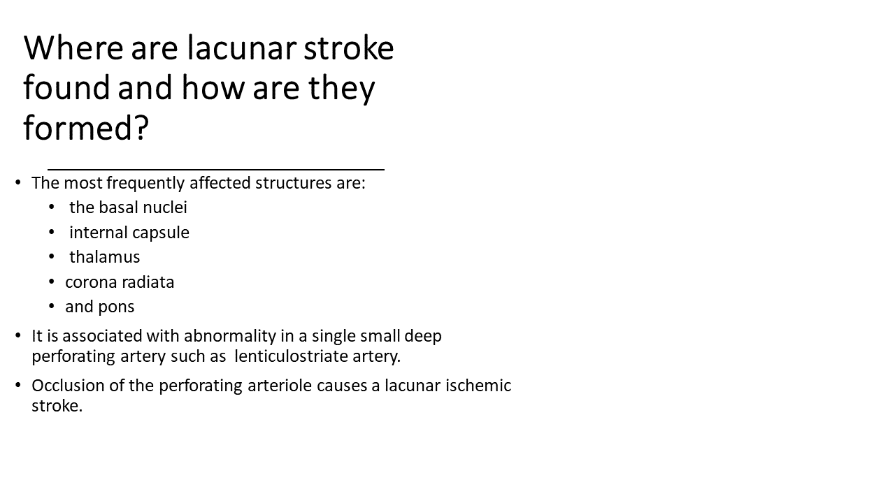 Where are lacunar stroke found and how are they formed? - World Stroke ...