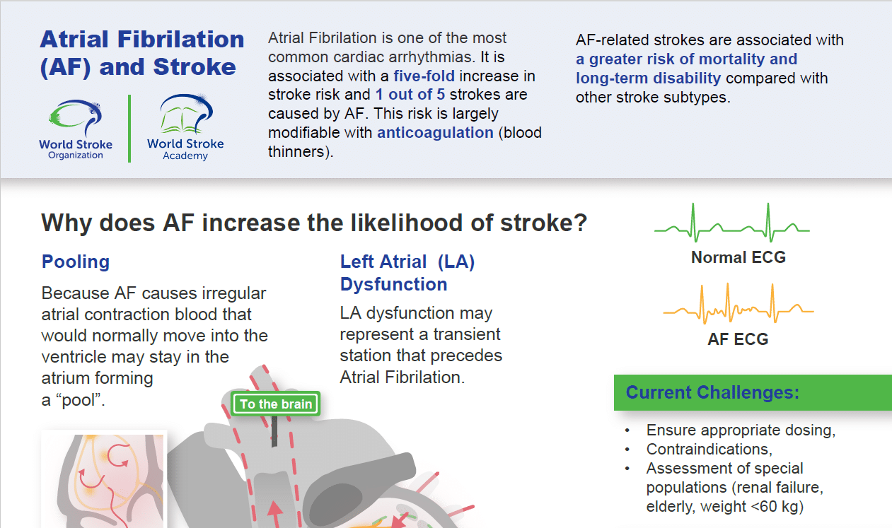 New: WSA Infographic on Atrial Fibrillation (AF) and Stroke - World Stroke Academy