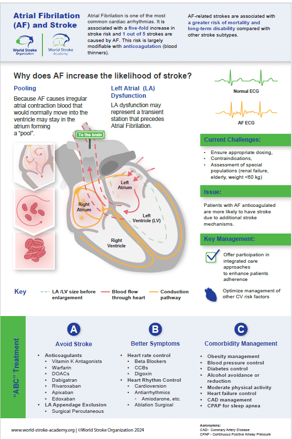 New: WSA Infographic on Atrial Fibrillation (AF) and Stroke - World ...